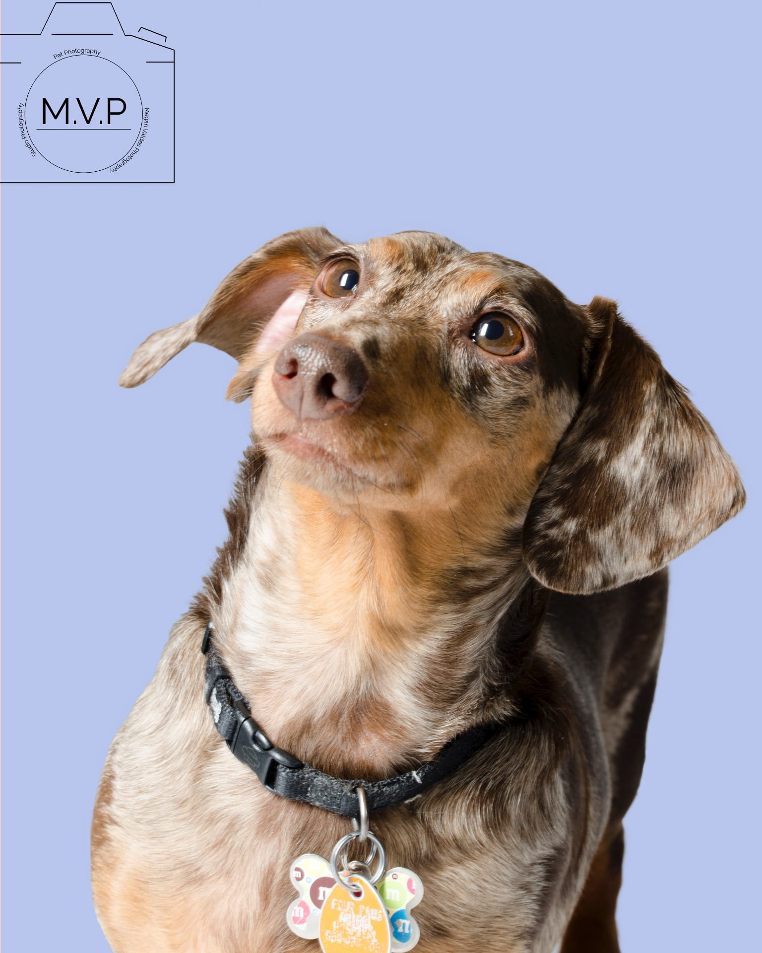 Megan V. | Digital Photography